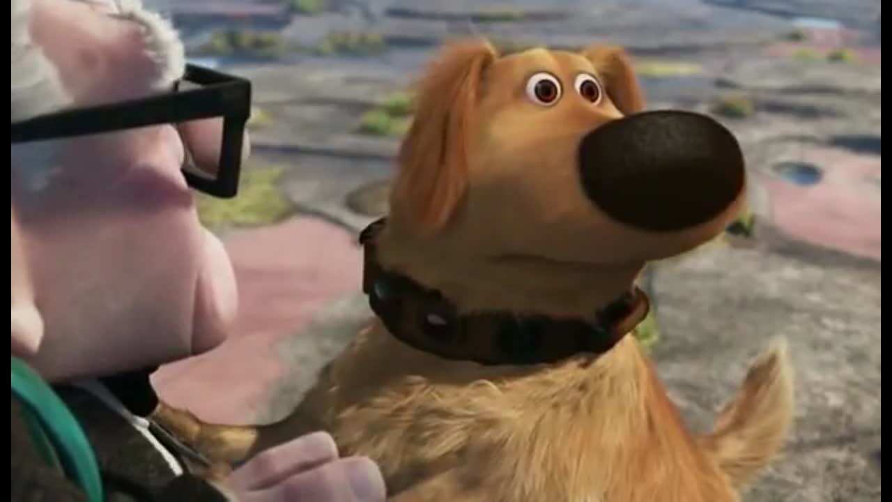 Up - Squirrel! | Download HD video clip on | Vlipsy