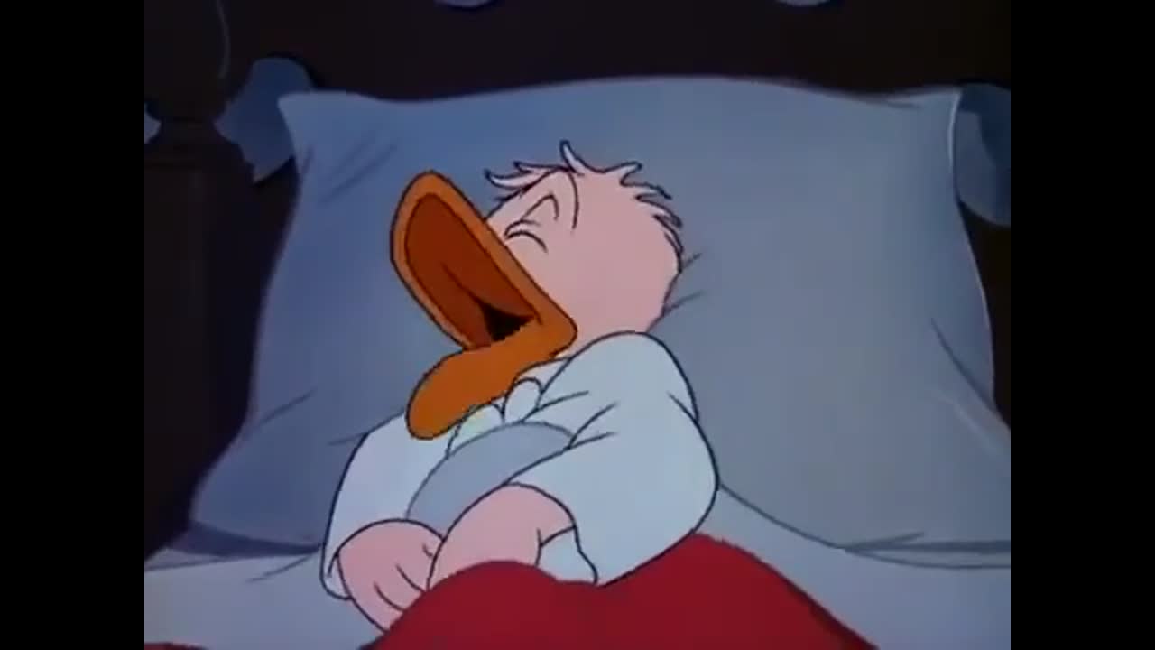 Donald Duck Tv Show: Sleeping Donald Duck - Find clips on VLIPSY