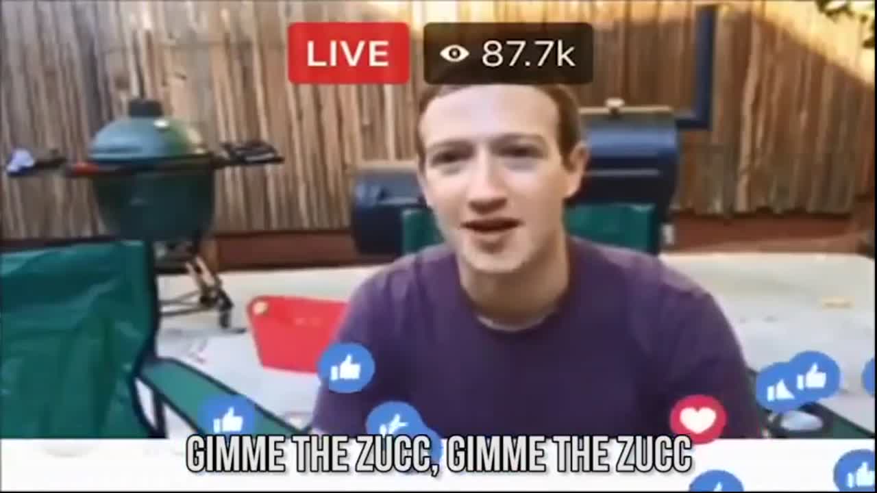 Mark Zuckerberg Meme - Gimme the Zucc | Download HD video clip on | Vlipsy