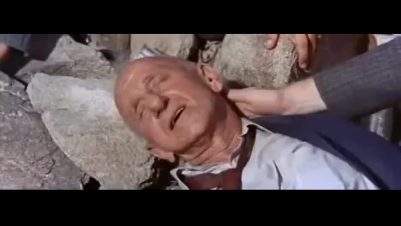 its a mad mad mad mad world: that guys dead - Find clips on VLIPSY