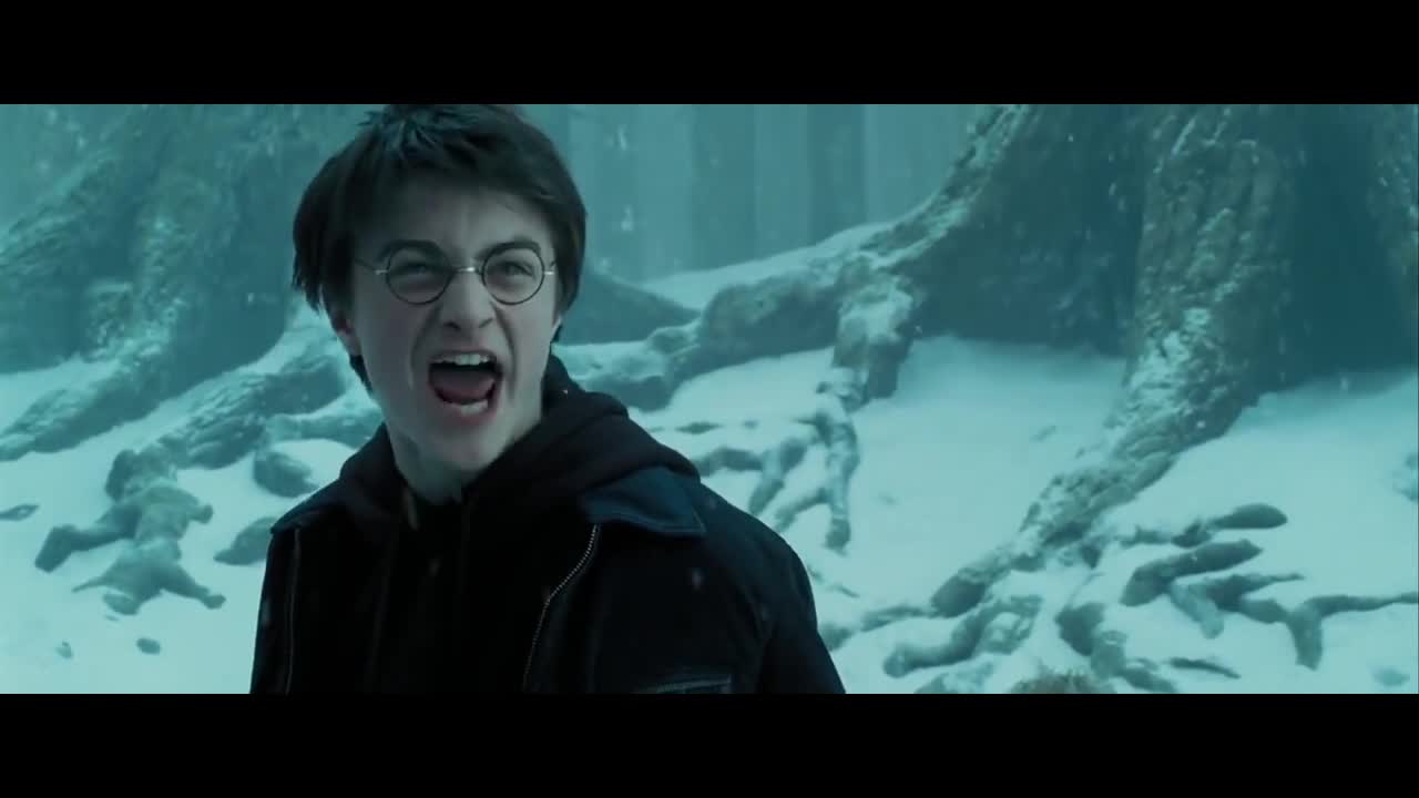 Harry Potter - He was their friend! | Download HD video clip on | Vlipsy