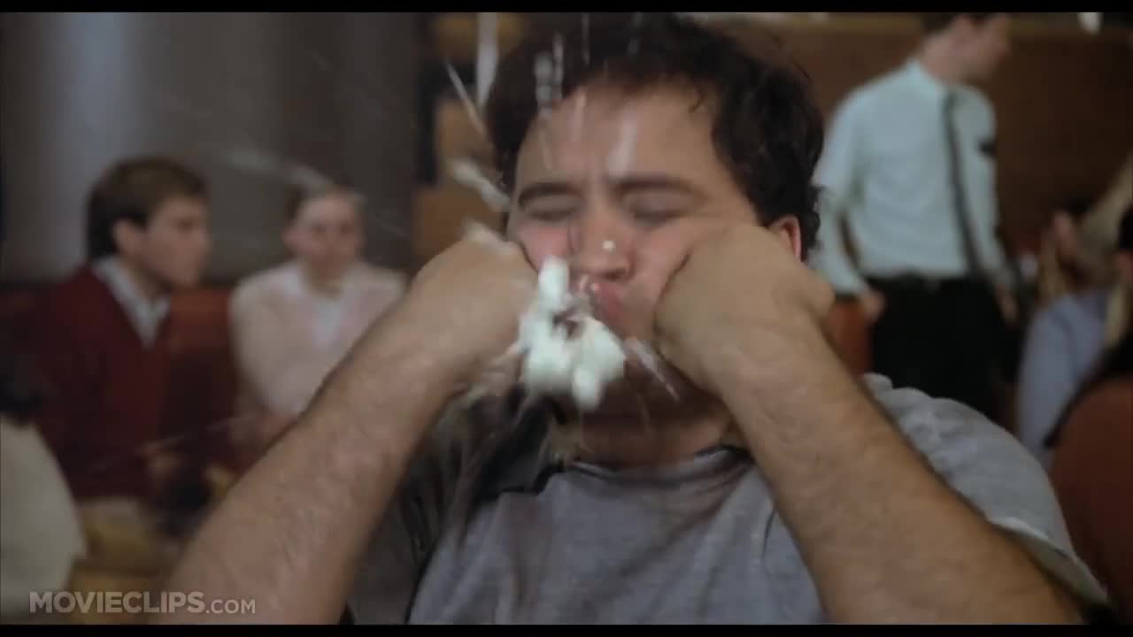 Animal House - I'm a zit! | Download HD video clip on | Vlipsy