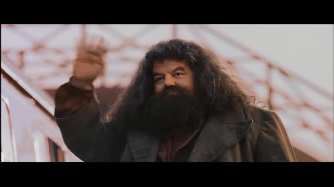 Harry Potter and the Sorcerer's Stone: Hagrid waves goodbye - Find ...