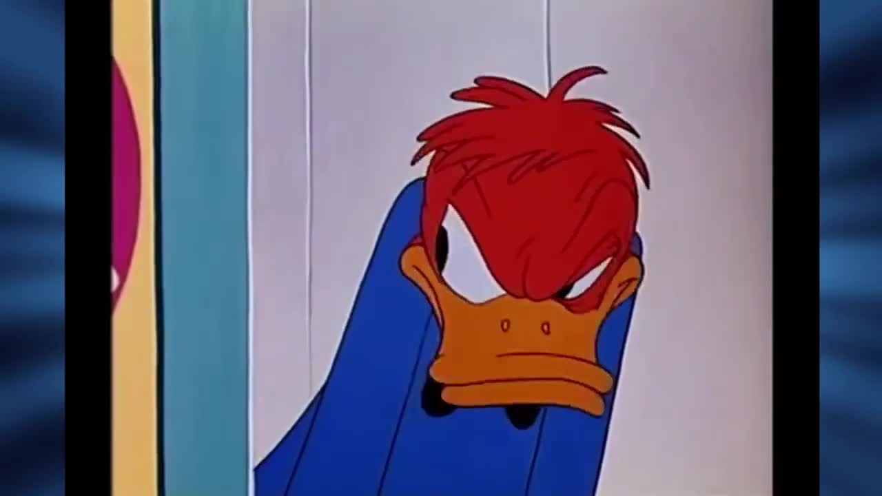 Donald Duck - Angry | Download HD video clip on | Vlipsy