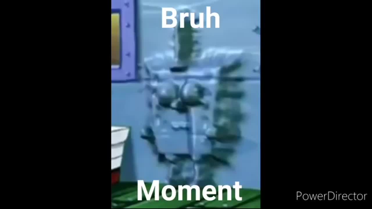 Spongebob Meme - Bruh moment | Download HD video clip on | Vlipsy