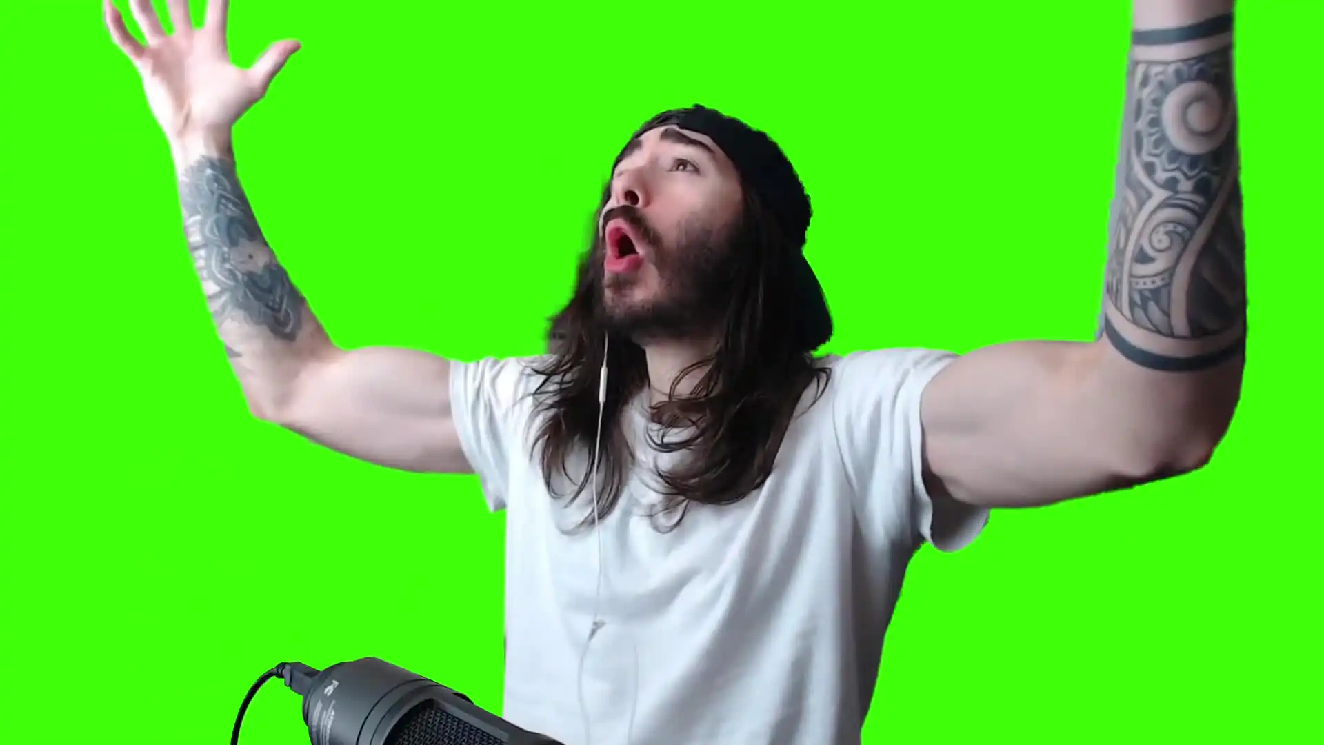 PENGUINZ0 - Woo Yeah Baby Green Screen | Download HD video clip on | Vlipsy