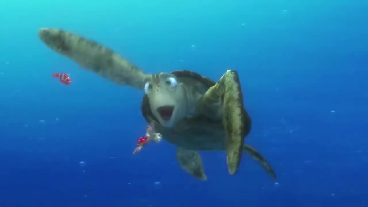 Finding Nemo - You so totally rock! | Download HD video clip on | Vlipsy