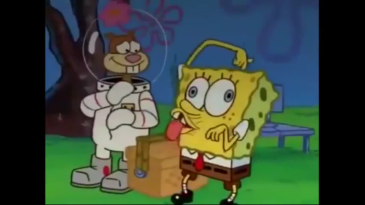 Spongebob Squarepants - I'm stupid | Download HD video clip on | Vlipsy