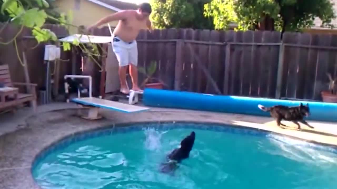 AFV: Diving Board Fail - Find clips on VLIPSY