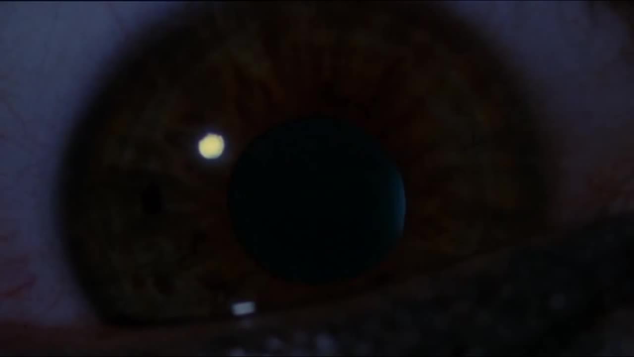 Friday the 13th - Here's Jason | Download HD video clip on | Vlipsy