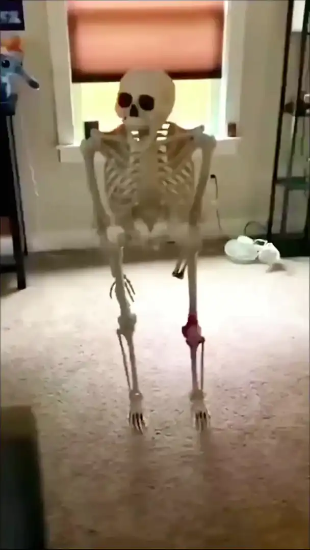 Skeleton falling meme | Download HD video clip on | Vlipsy