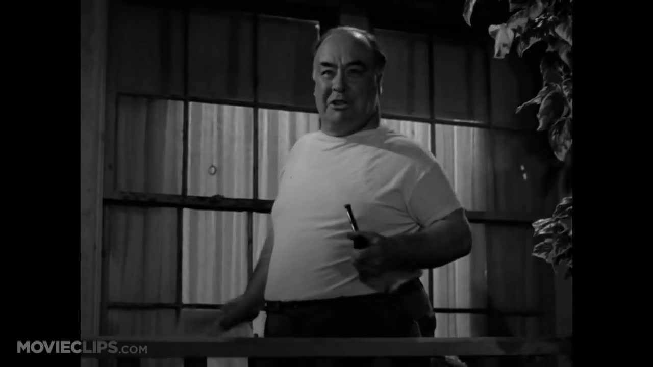 It's a Wonderful Life - Youth Is Wasted On The Wrong People | Download ...