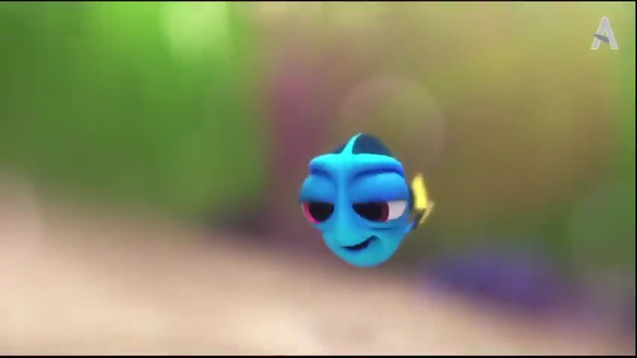 Finding Dory: Oh look shells. Find clips on VLIPSY