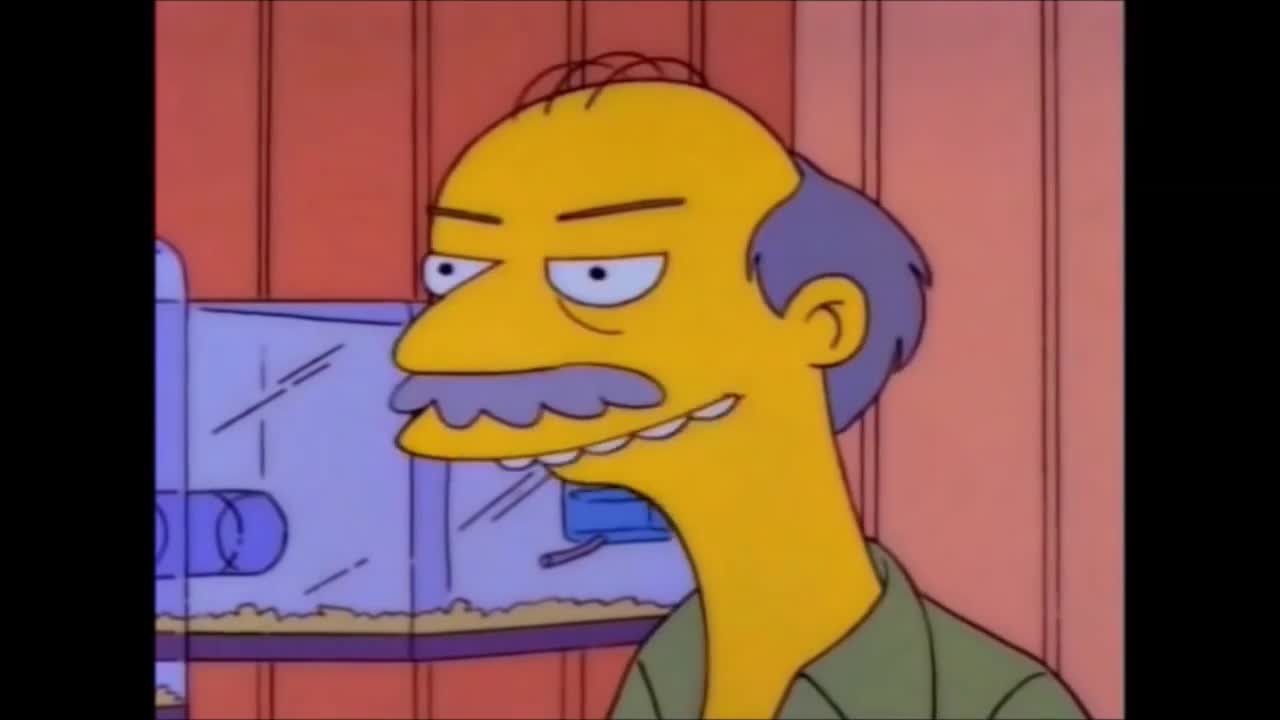 Simpsons: Thought You Were Dumb - Find clips on VLIPSY