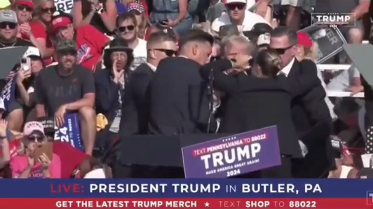 Donald Trump - Trump Fight | Download HD video clip on | Vlipsy