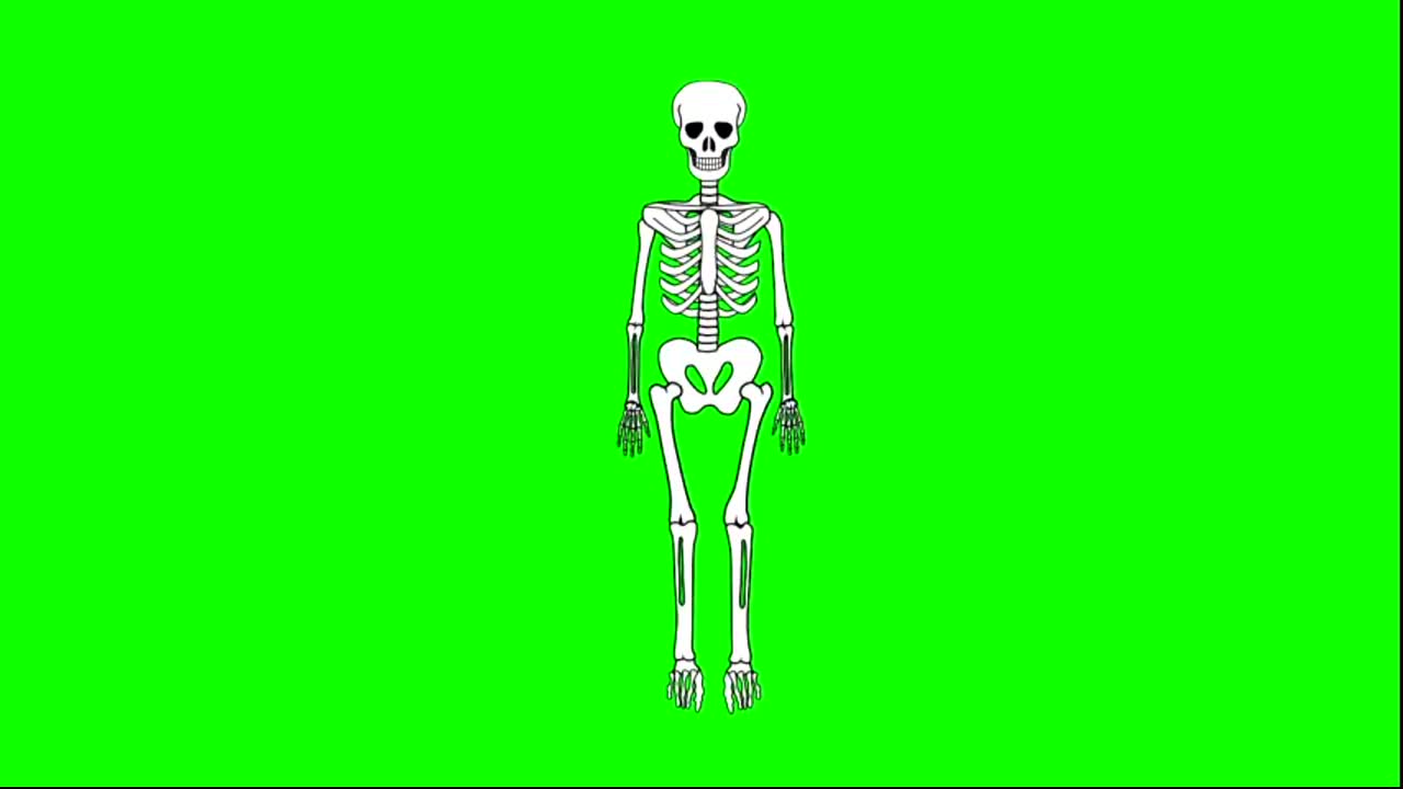 Skeleton Dead - Skeleton Dead | Download HD video clip on | Vlipsy