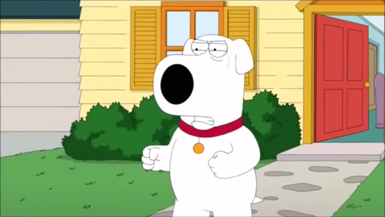 Family Guy - Brian - Come here you bastard | Download HD video clip on ...
