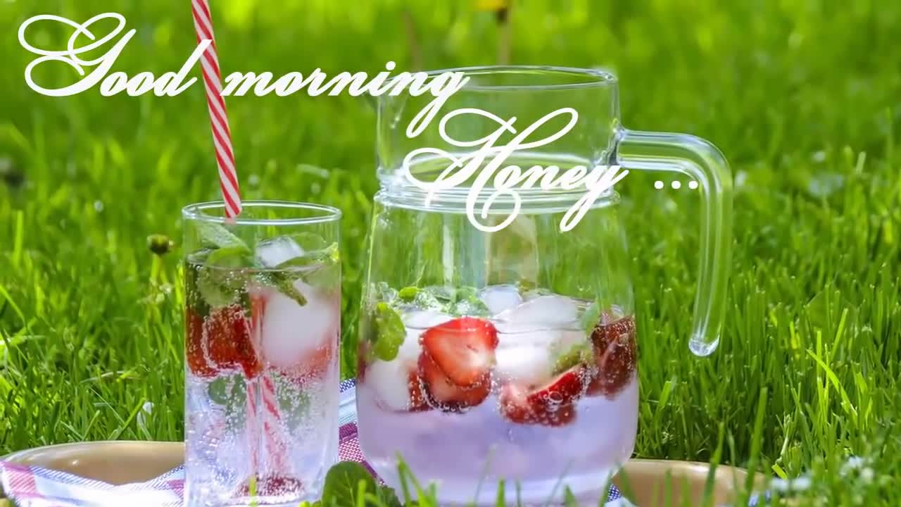 Kangaroo - Good Morning Honey | Download HD video clip on | Vlipsy