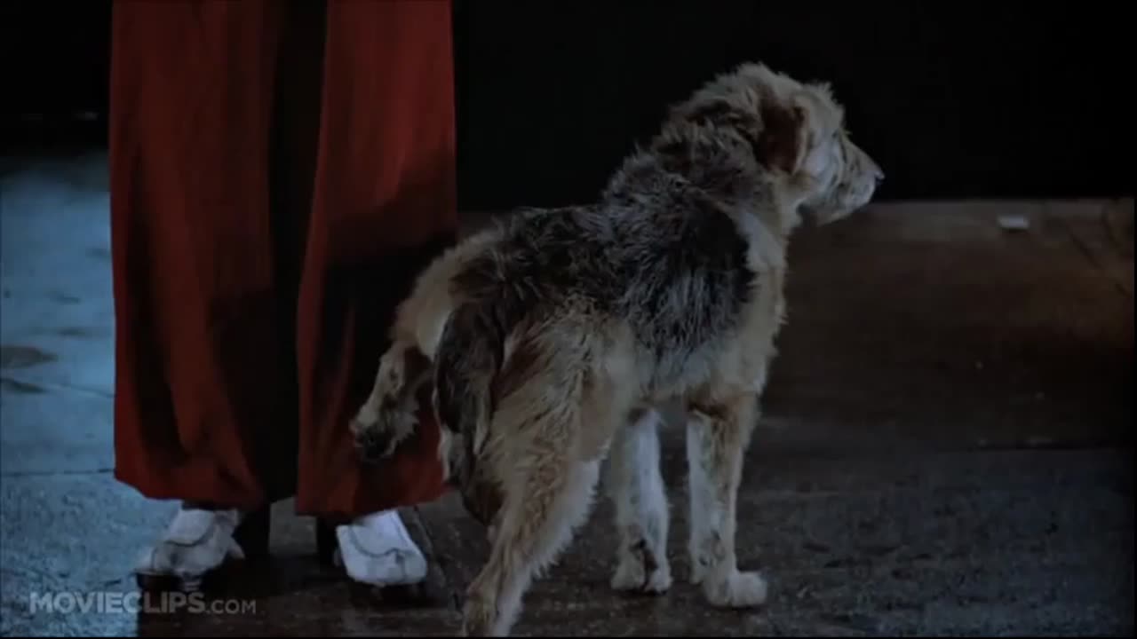 Trading Places - Down & Out Santa | Download HD video clip on | Vlipsy
