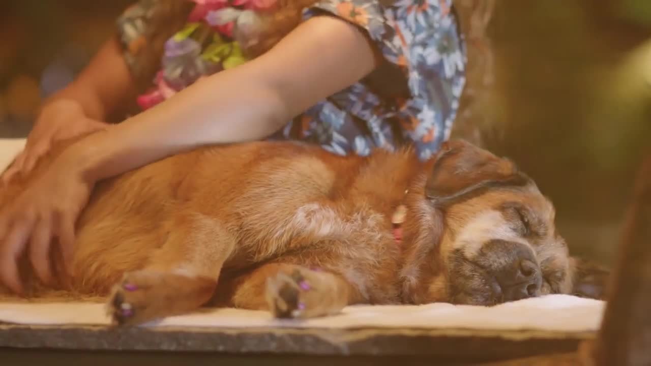 BuzzFeed Videos: Most Loving People. Find clips on VLIPSY