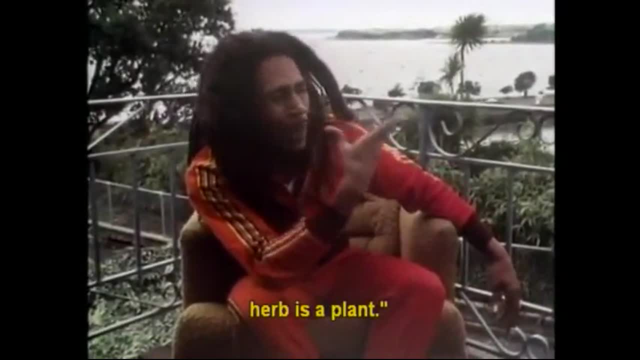 Bob Marley: Herb is a Plant. Find clips on VLIPSY