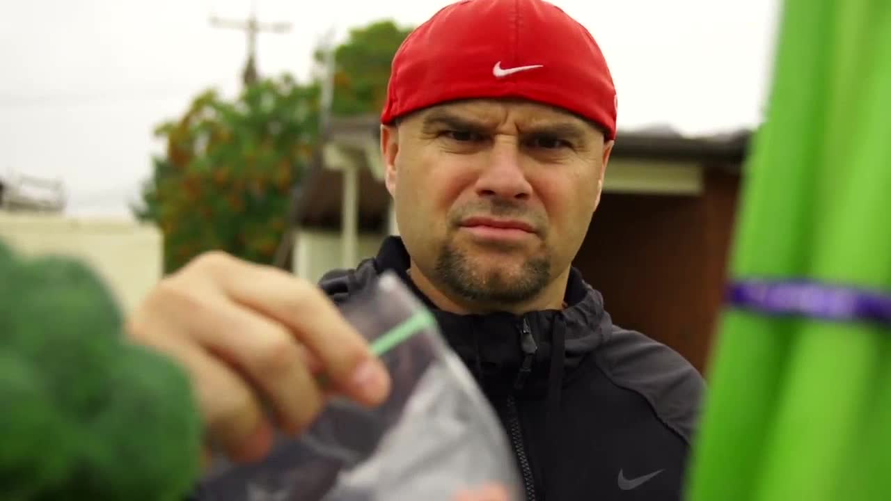 Bored Shorts TV: I dont like taking drugs. Find clips on VLIPSY