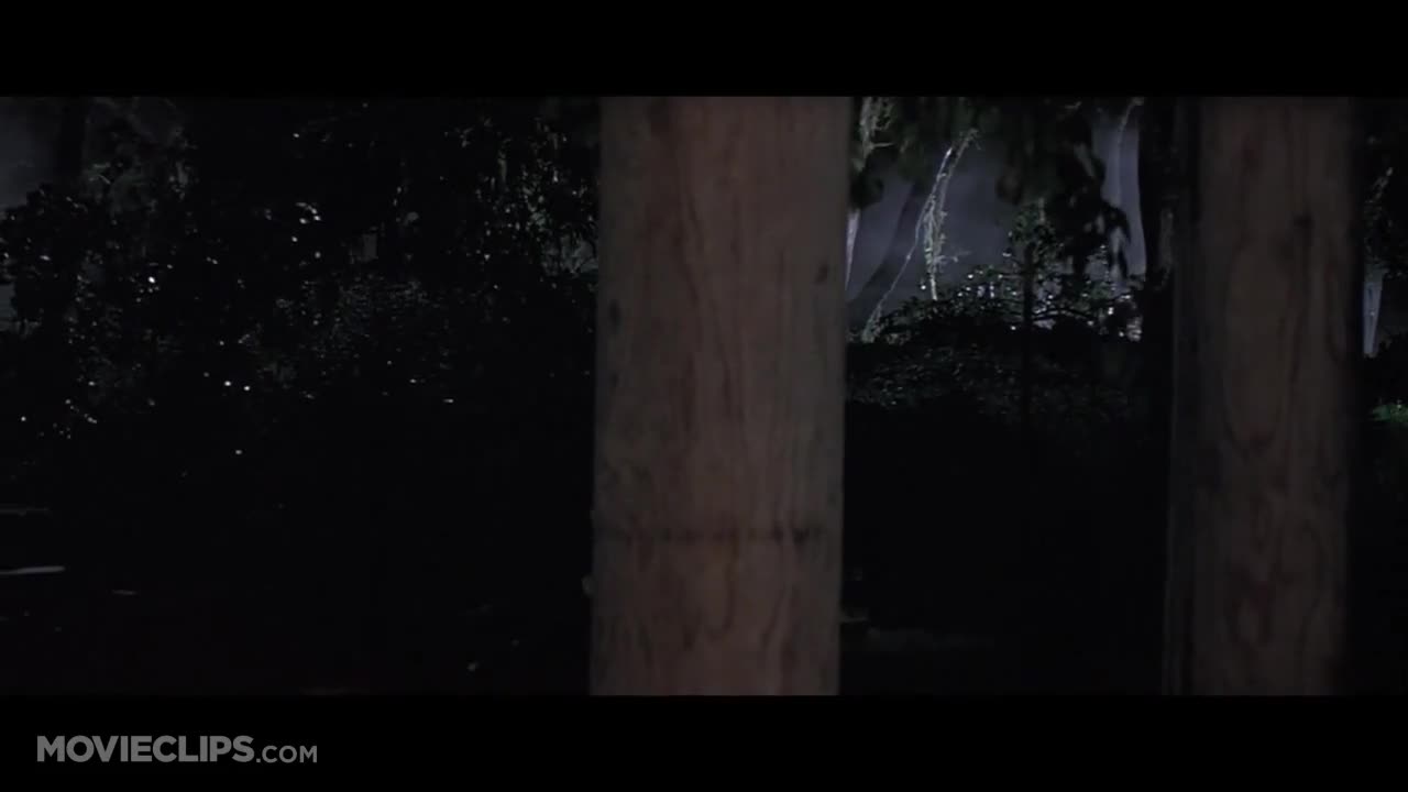 Scream Wrong Answer Download Hd Video Clip On Vlipsy