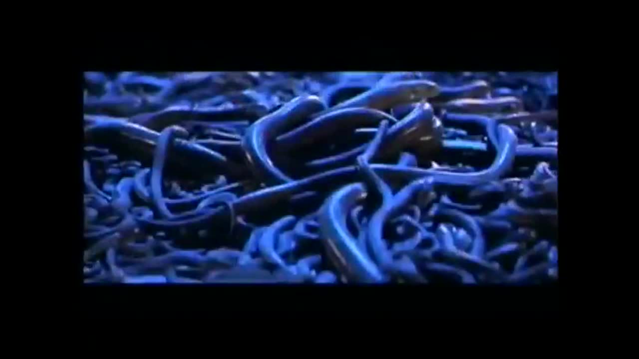 Indiana jones: Snakes - Find clips on VLIPSY