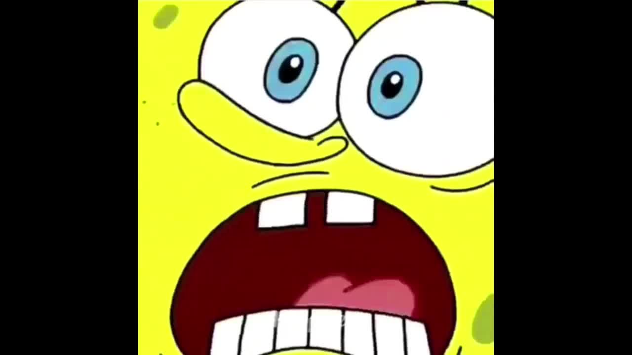 Howard the Alien Meme - What's that! (Spongebob) | Download HD video ...