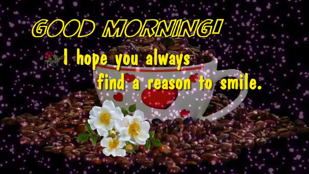 Kangaroo: Good Morning - Find clips on VLIPSY