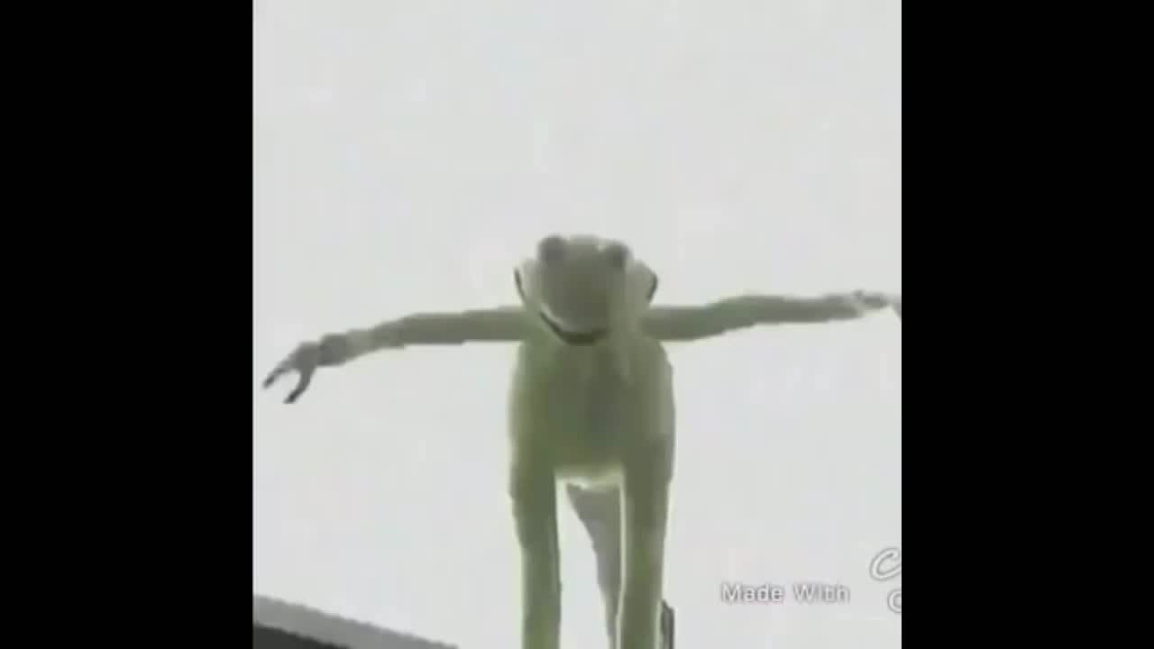 602 - Kermit jumps off building | Download HD video clip on | Vlipsy