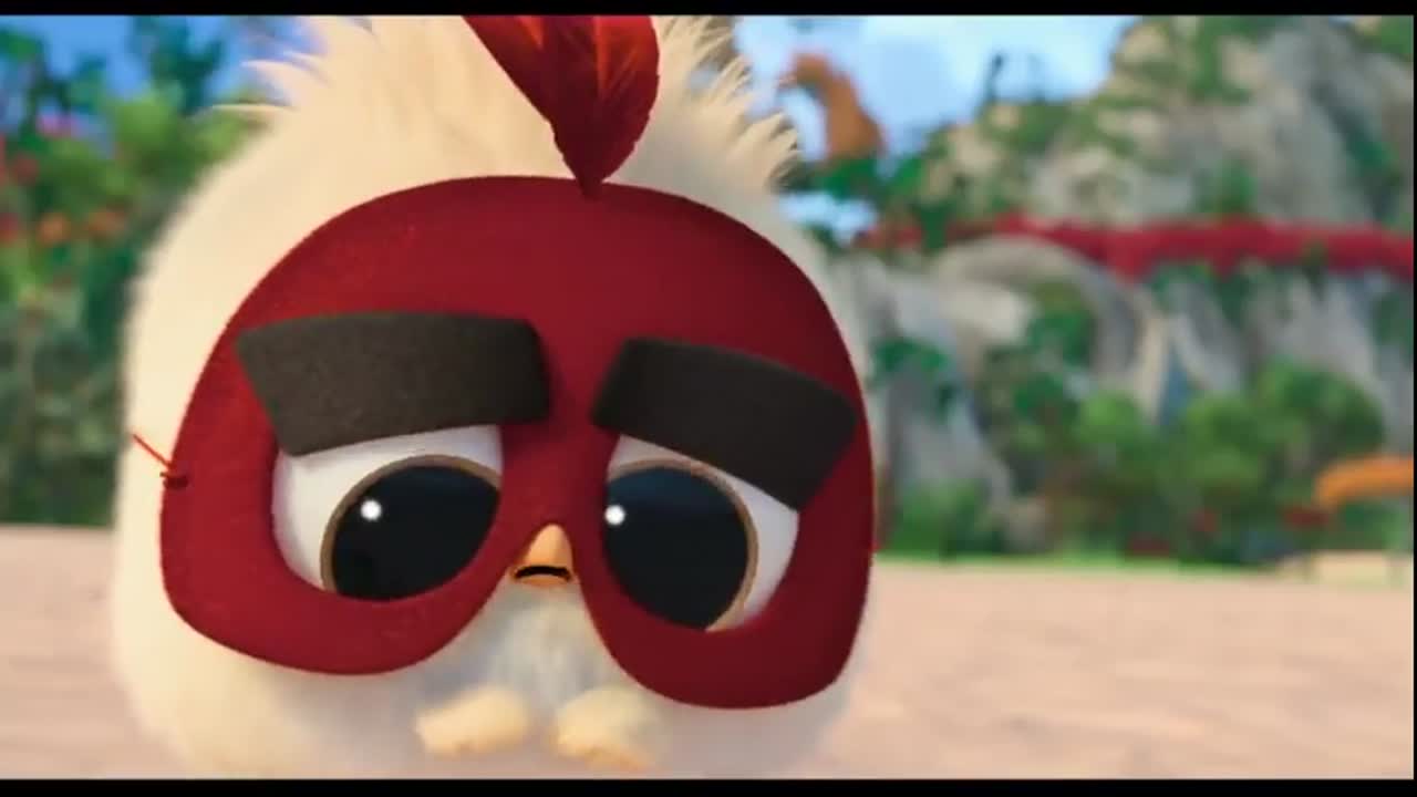 The Angry Birds Movie 2 - Sorry | Download HD video clip on | Vlipsy