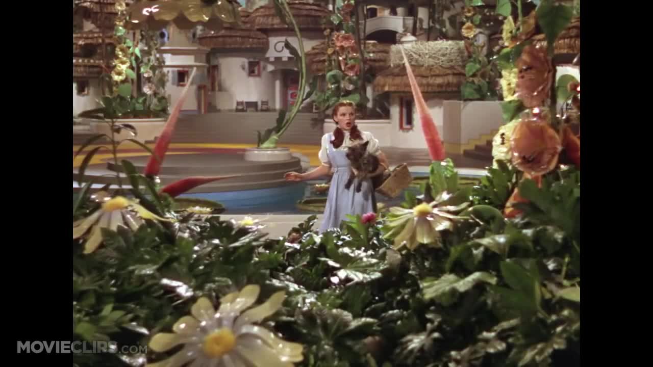 Wizard of Oz - I feel like we're not in Kansas anymore | Download HD ...