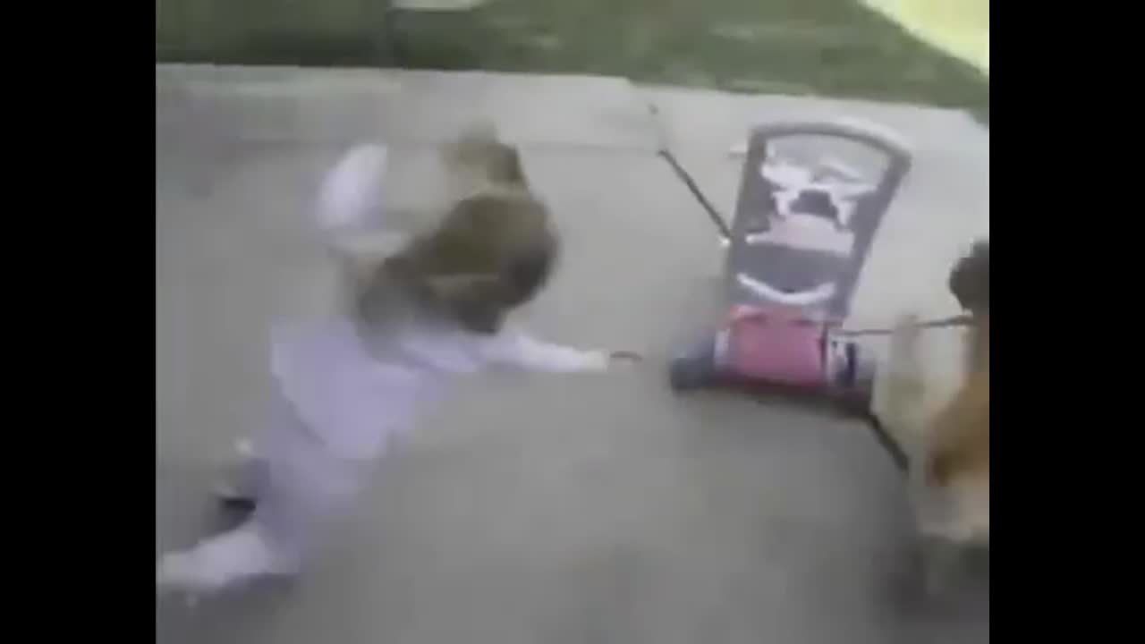 Roraitodesu: Go! Bwaaah!!!. Find clips on VLIPSY