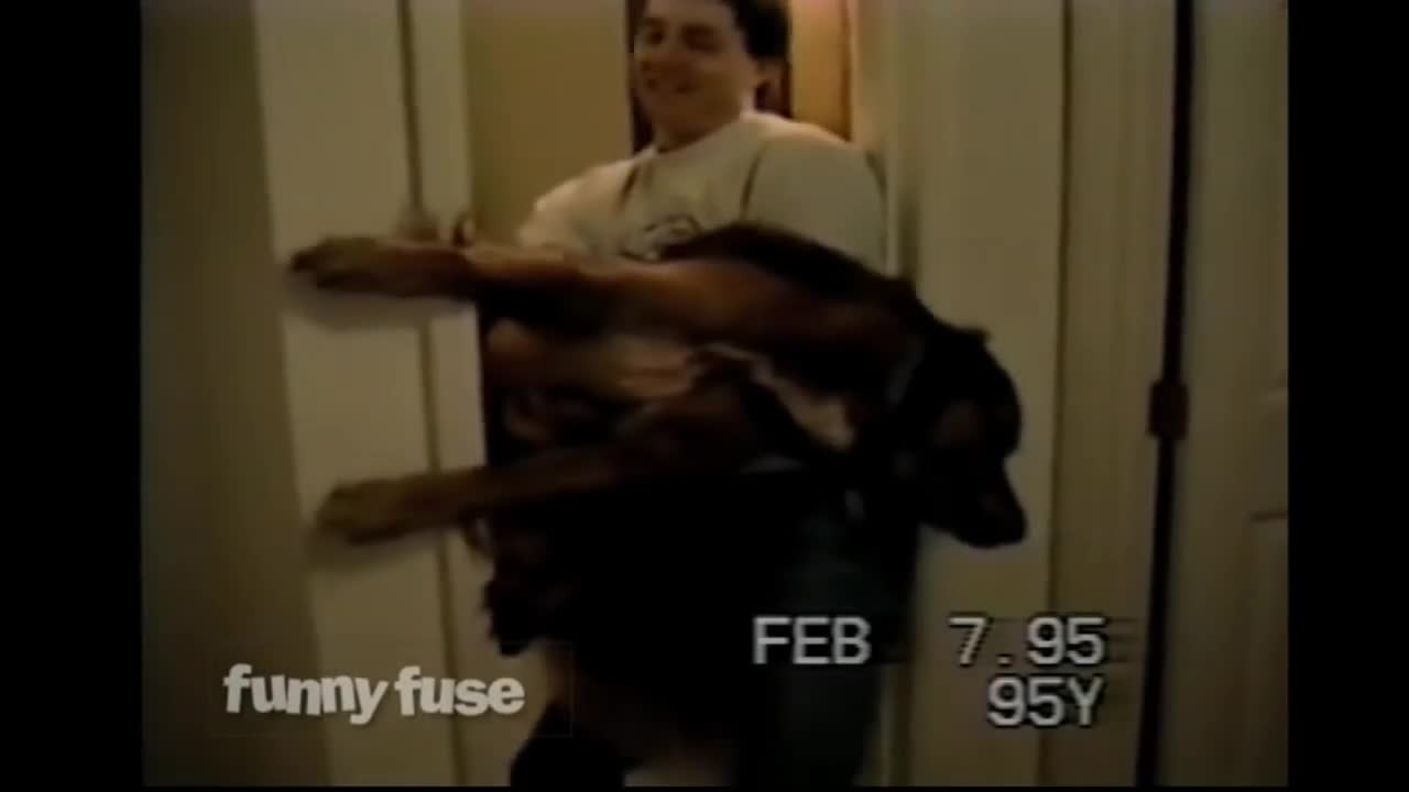 Funny Fuse: Dog doesn't want to bathe. Find clips on VLIPSY