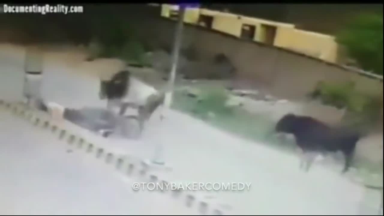 Tony Baker - Cram Ram | Download HD video clip on | Vlipsy