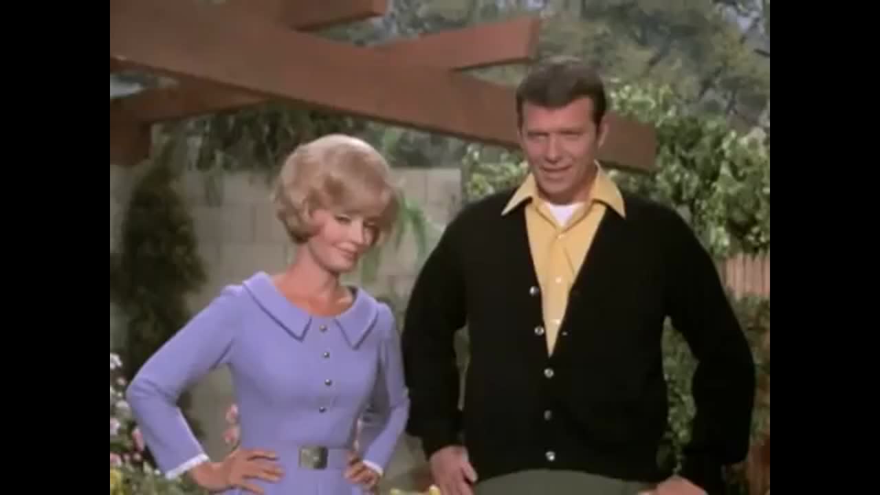 Brady Bunch: How Do You Plead Tiger?. Find clips on VLIPSY
