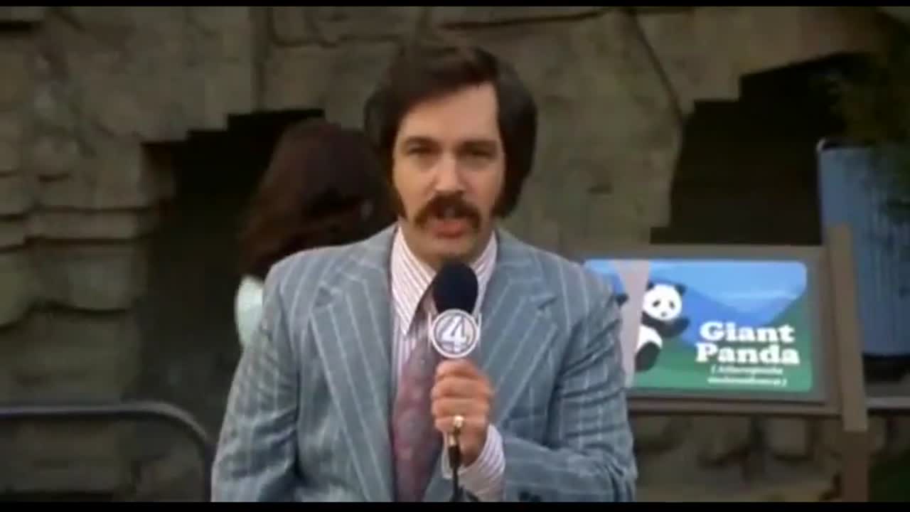 Anchorman: Panda Watch. Find clips on VLIPSY