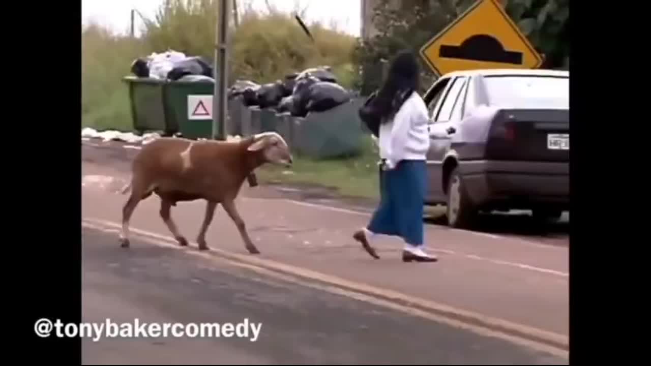 Tony Baker - Cram Ram | Download HD video clip on | Vlipsy