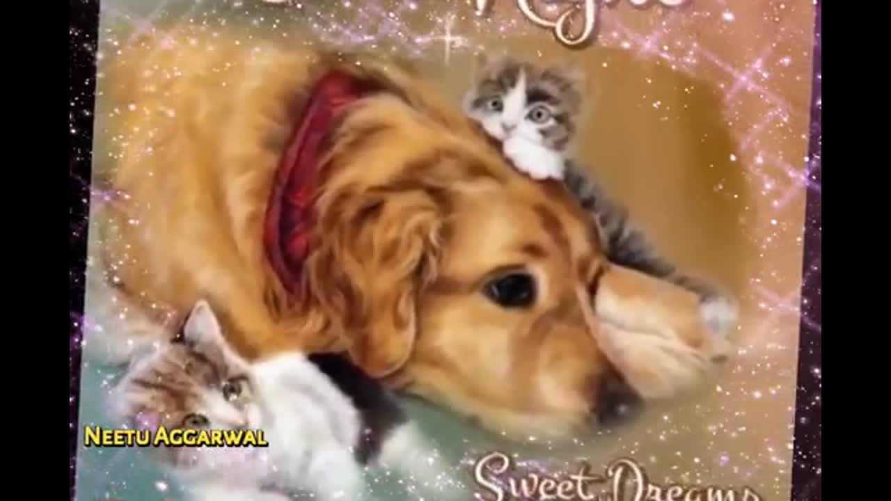 Neetu aggarwal - Sweet Dreams | Download HD video clip on | Vlipsy