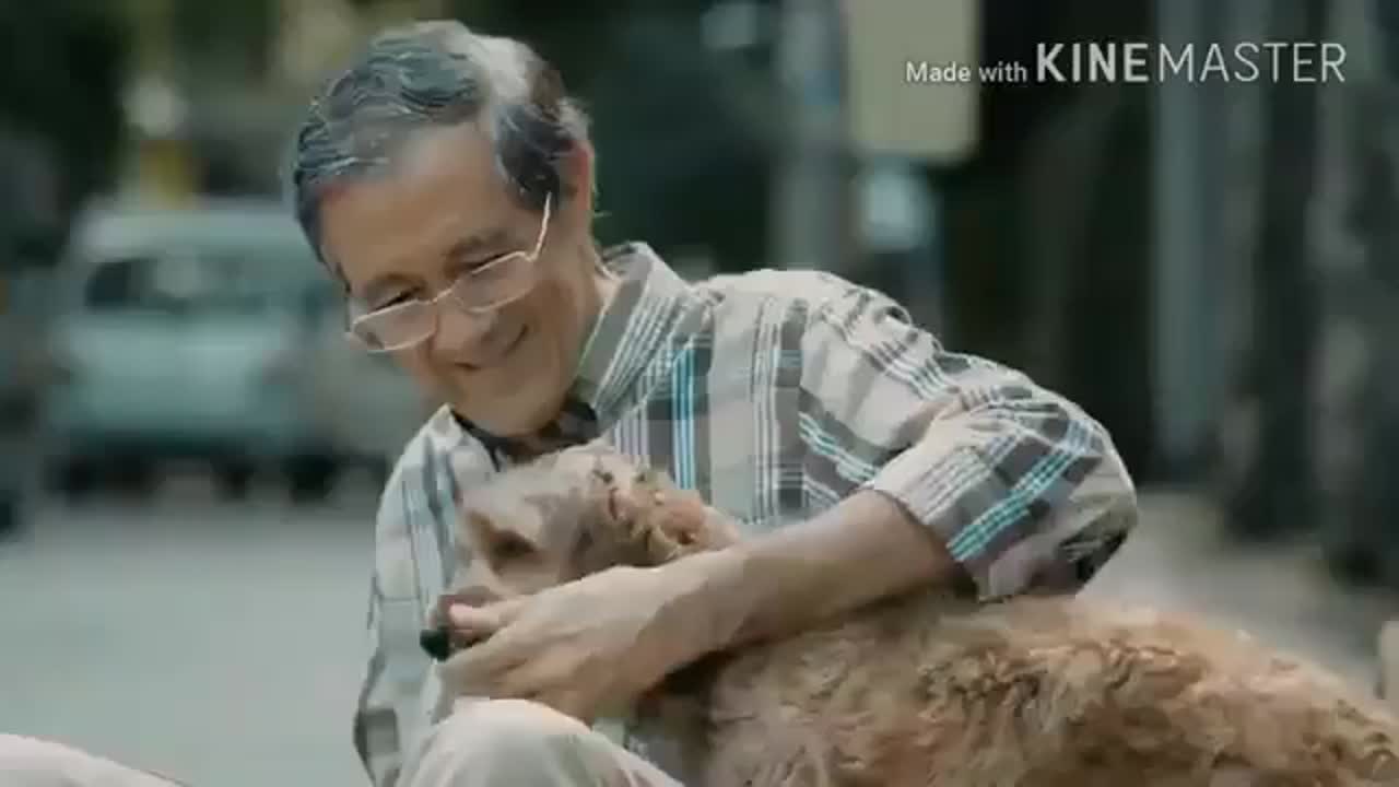 Shubham Adarsh - Save A Dog | Download HD video clip on | Vlipsy