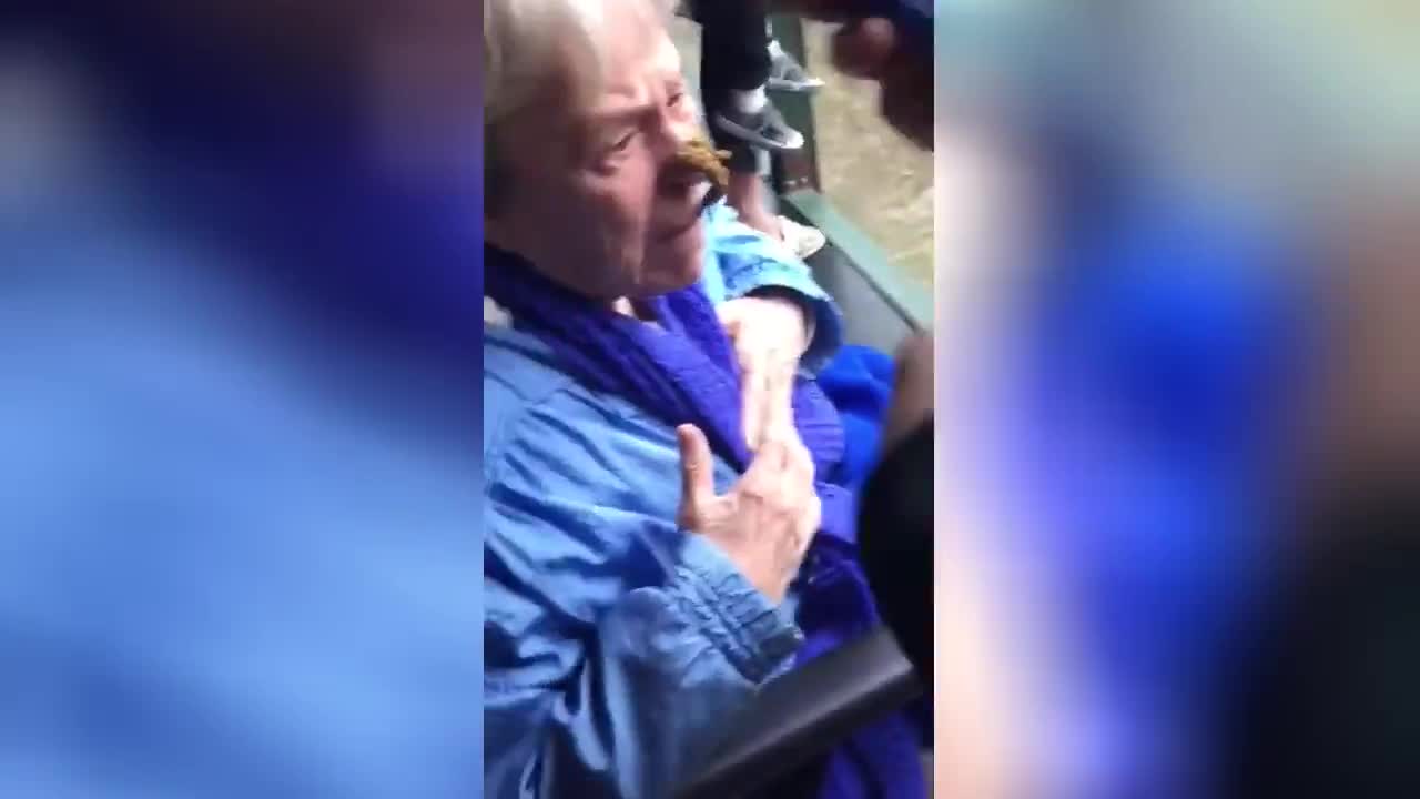 Jacob Mitchell YouTube - Poo on face | Download HD video clip on | Vlipsy