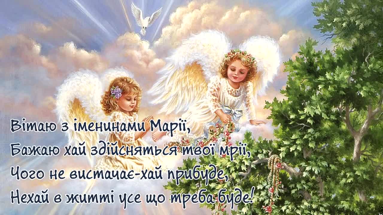 Niche Cards - Happy Maria's Day | Download HD video clip on | Vlipsy