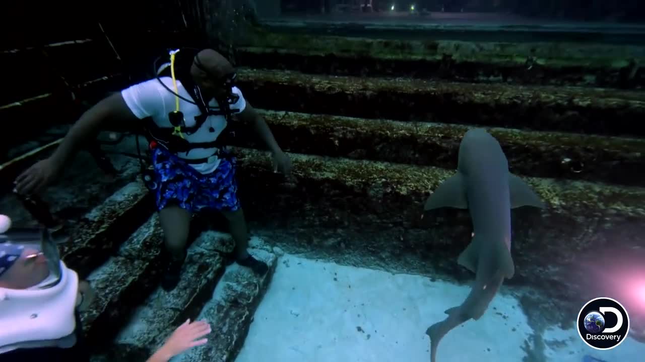 Shark Week - Shaq hates sharks | Download HD video clip on | Vlipsy