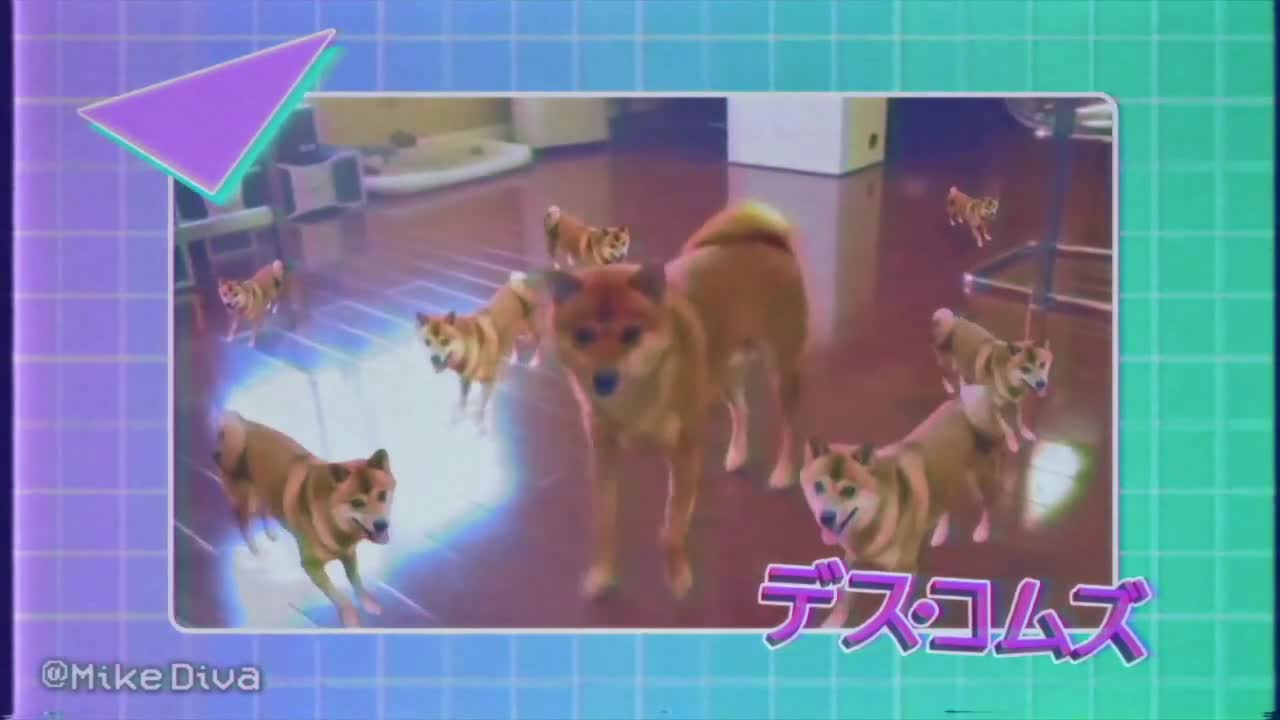 Mike Diva - Dog Meme | Download HD video clip on | Vlipsy