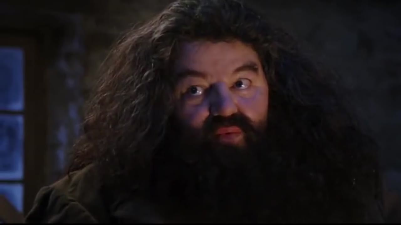 Harry Potter You Re A Wizard Harry Download Hd Video Clip On Vlipsy