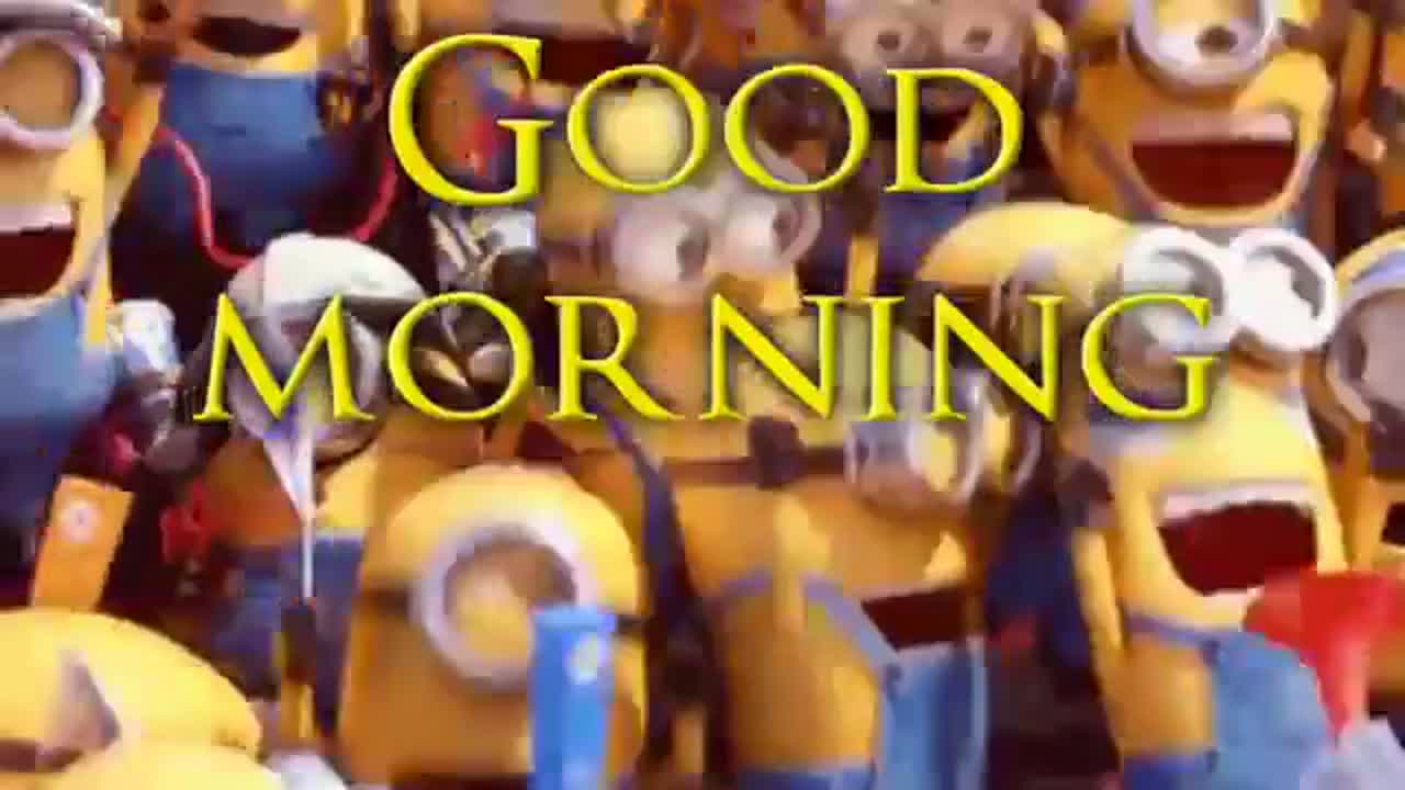 Minion Movie - Minions Good Morning | Download HD video clip on | Vlipsy