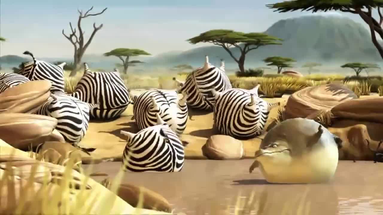 Rollin Wild - Startled Zebra | Download HD video clip on | Vlipsy