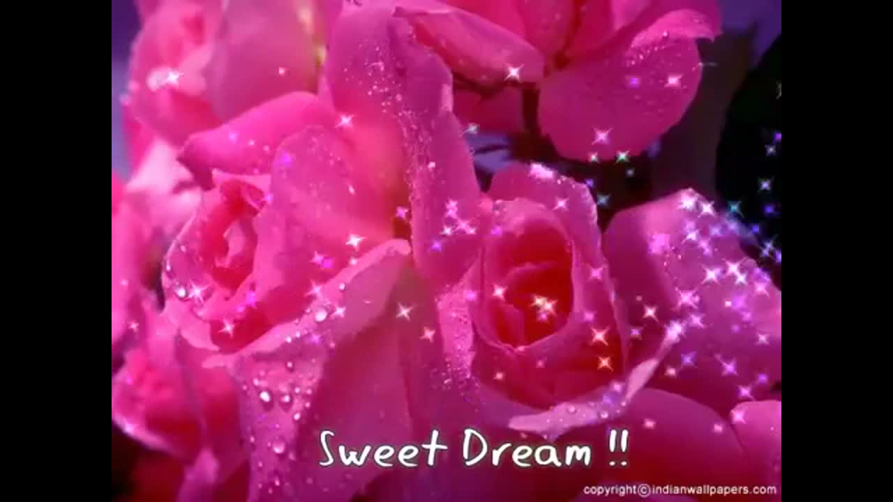 ZIM TECH - Sweet Dreams | Download HD video clip on | Vlipsy