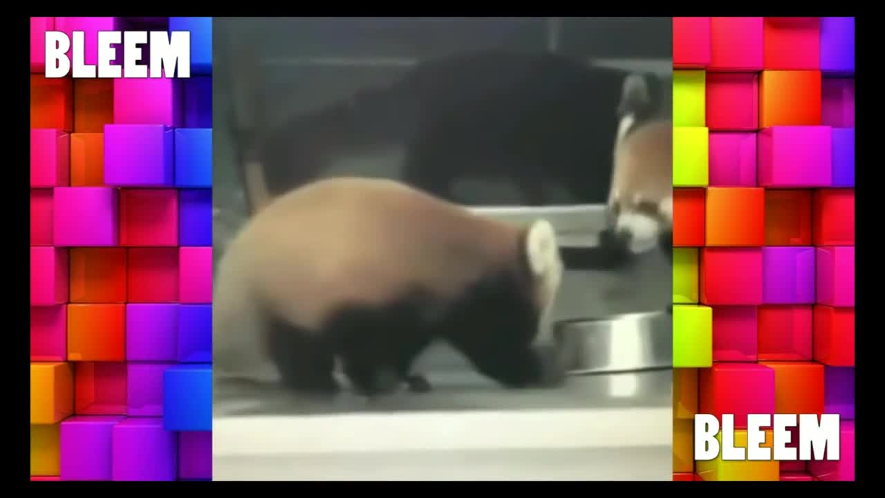 bleem: Don't scare me. Find clips on VLIPSY